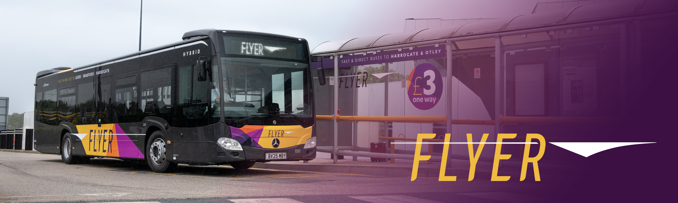 Buses for Business